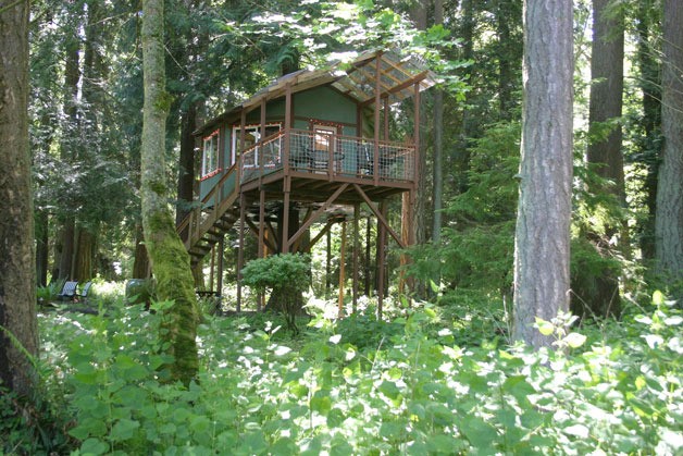 Treehouse offers rest, canopy views in Freeland | South Whidbey Record