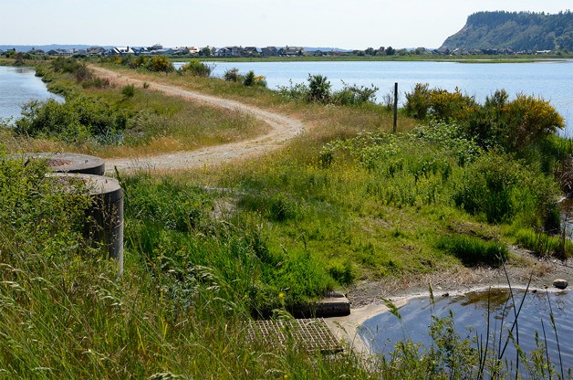 County proposes Diking District 4 tax; public meeting planned for June ...