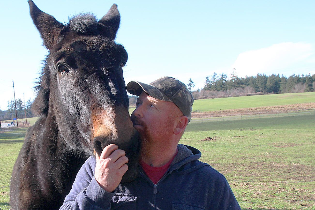 Animal mutilations terrifying Whidbey Island family | South Whidbey Record