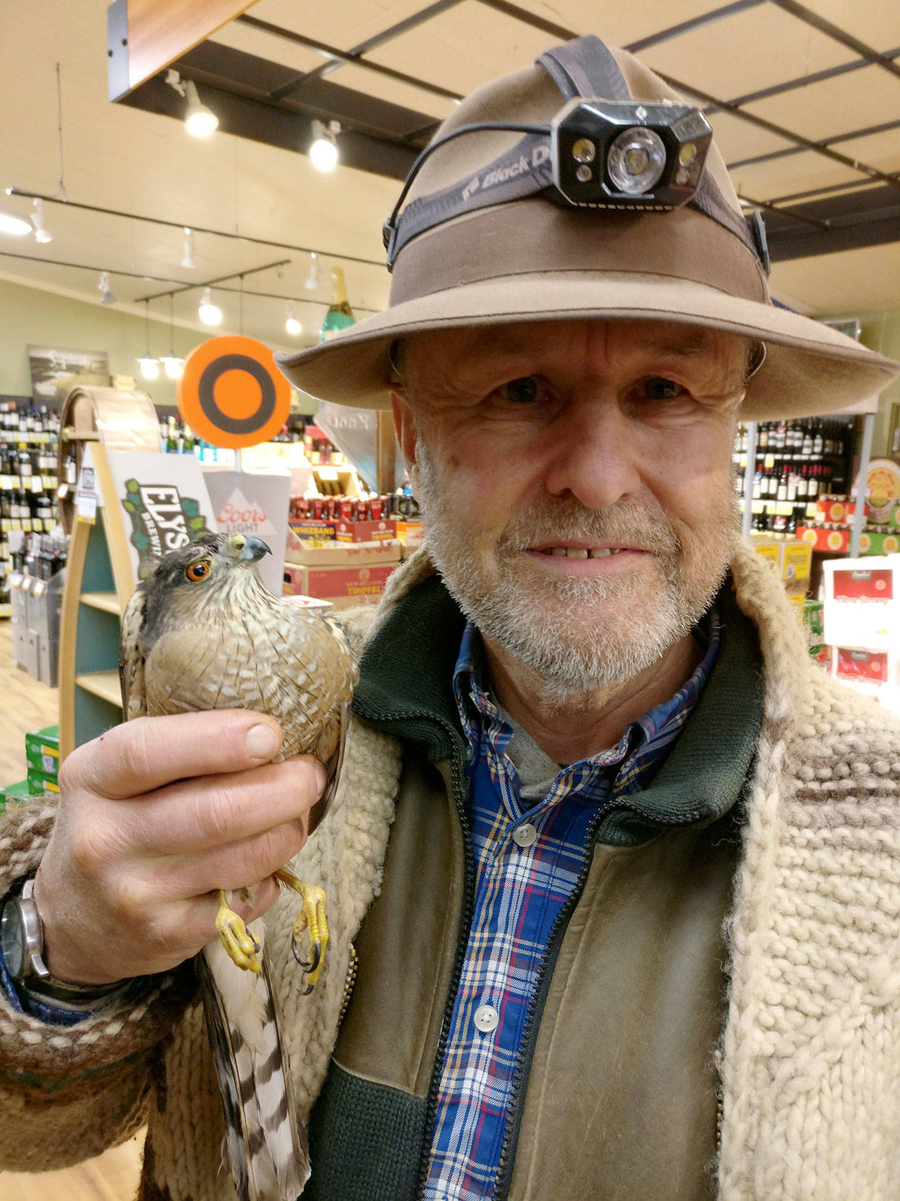 Hawk spends 12 hours in The Goose swooping shoppers, scaring employees ...