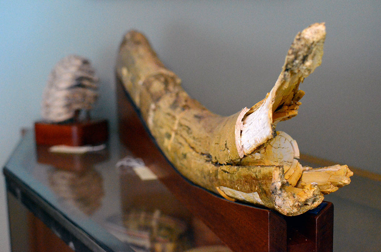 New museum exhibit highlights 120,000 years on Whidbey | South Whidbey ...
