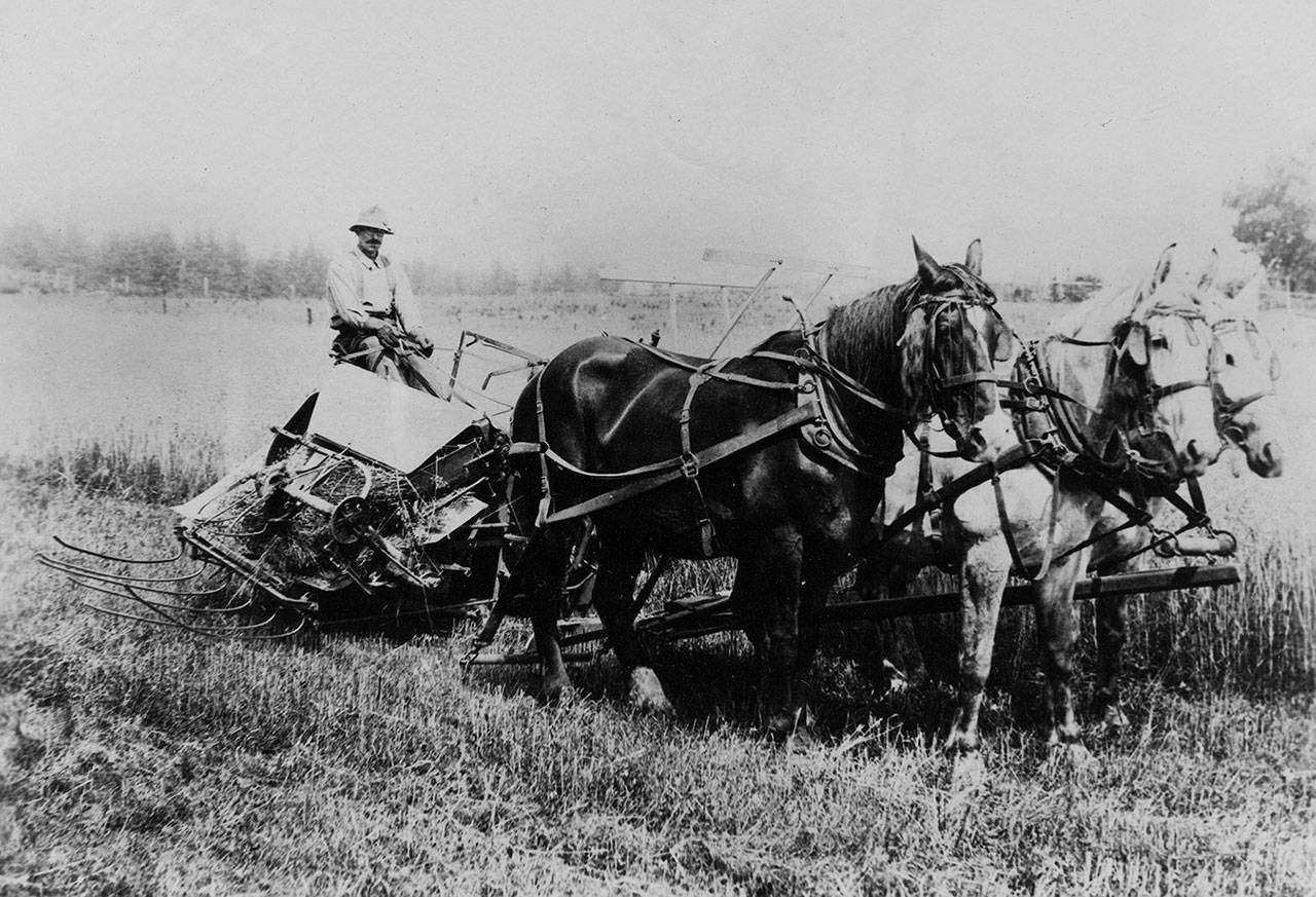 Historical society to lead presentation about Gabelein family history ...