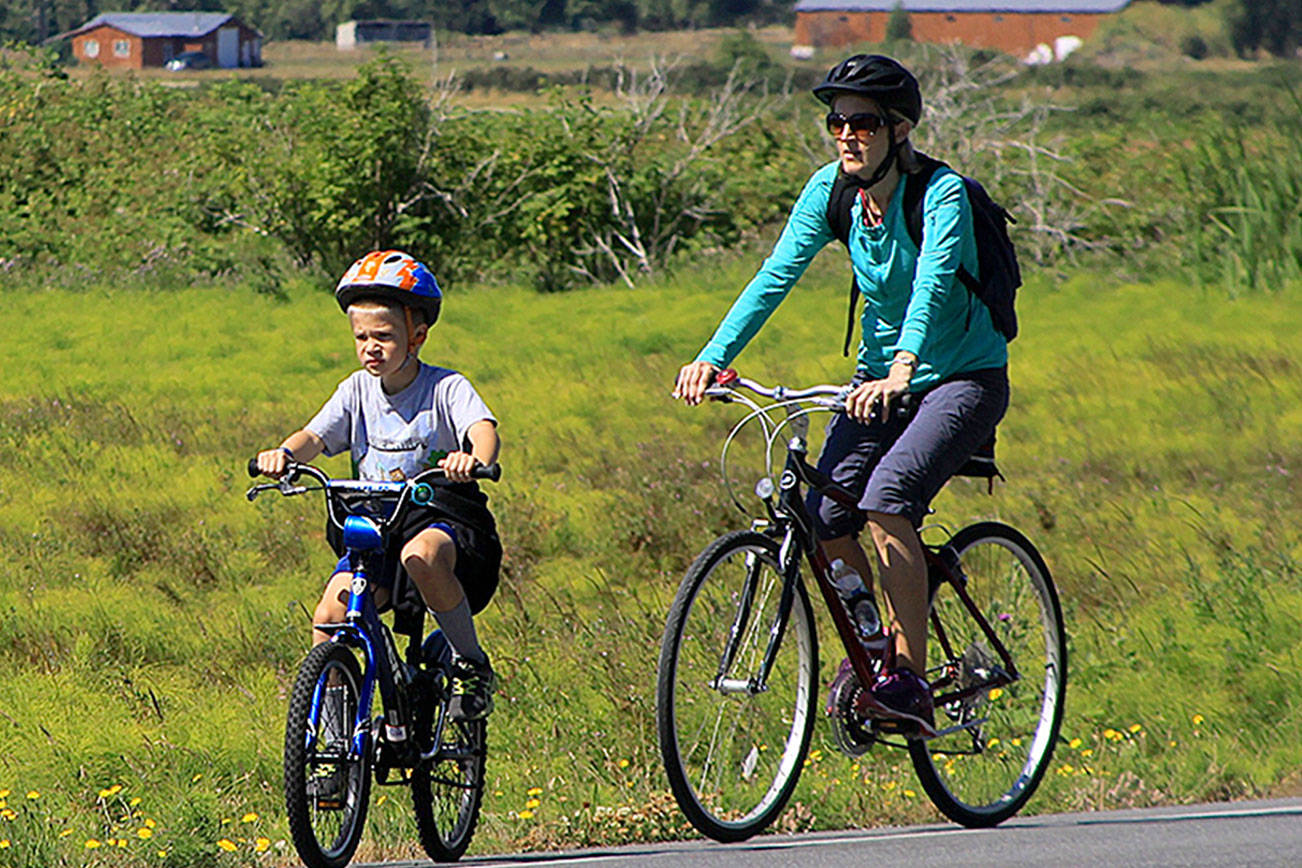 Sea, Trees and Pie bicycle ride serving cyclists slice of natural ...