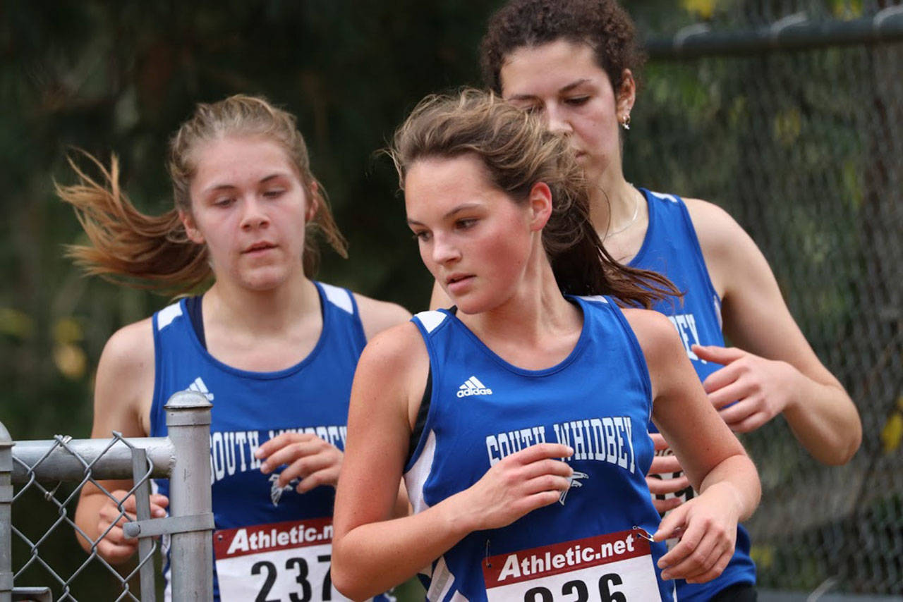 Falcon boys win at King’s / Cross country | South Whidbey Record