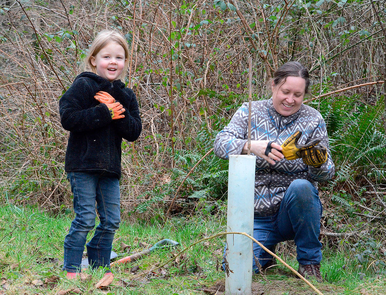 Give nature a hand on Saturdays this spring | South Whidbey Record