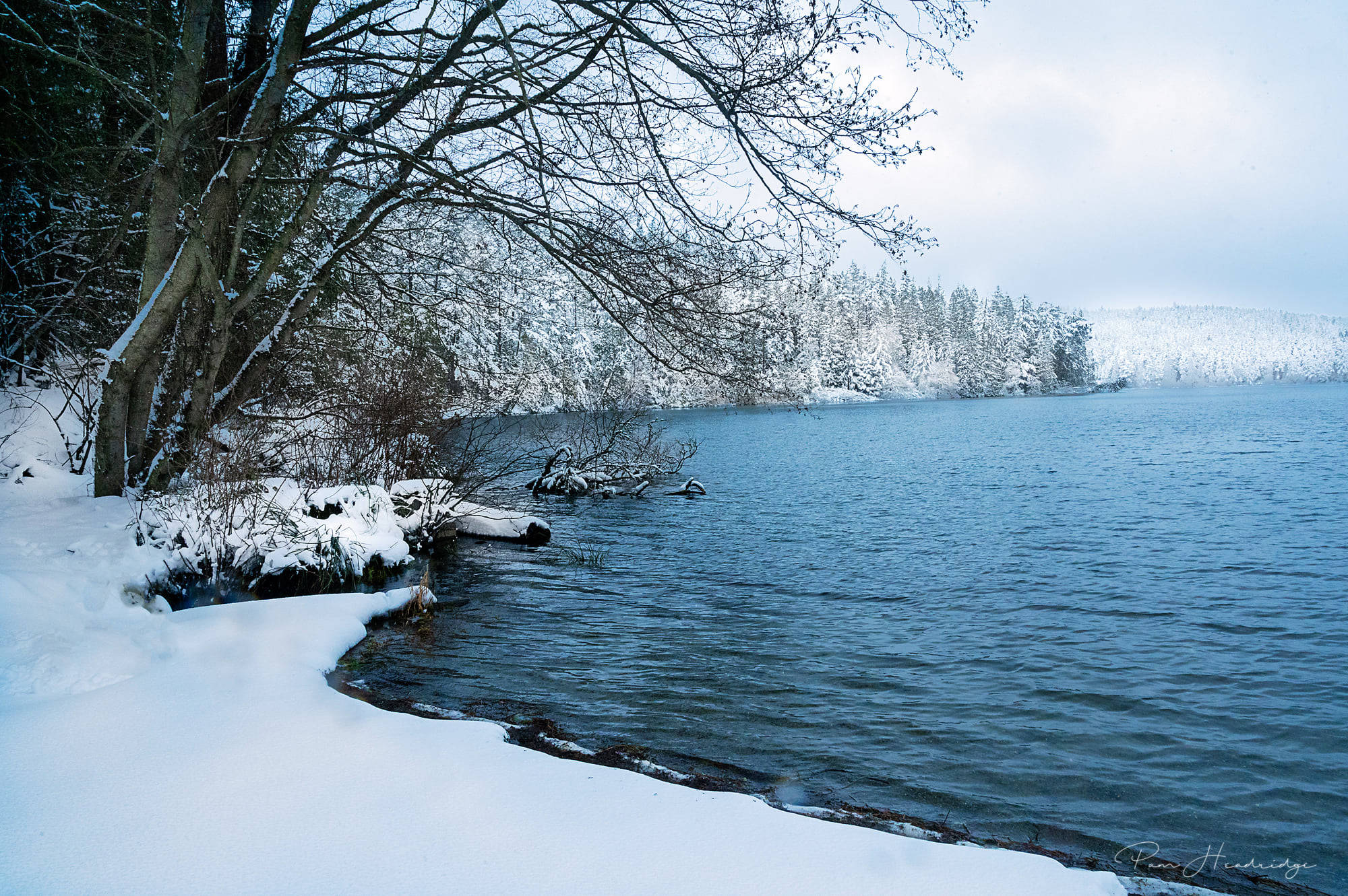 Fun times in the snow | South Whidbey Record