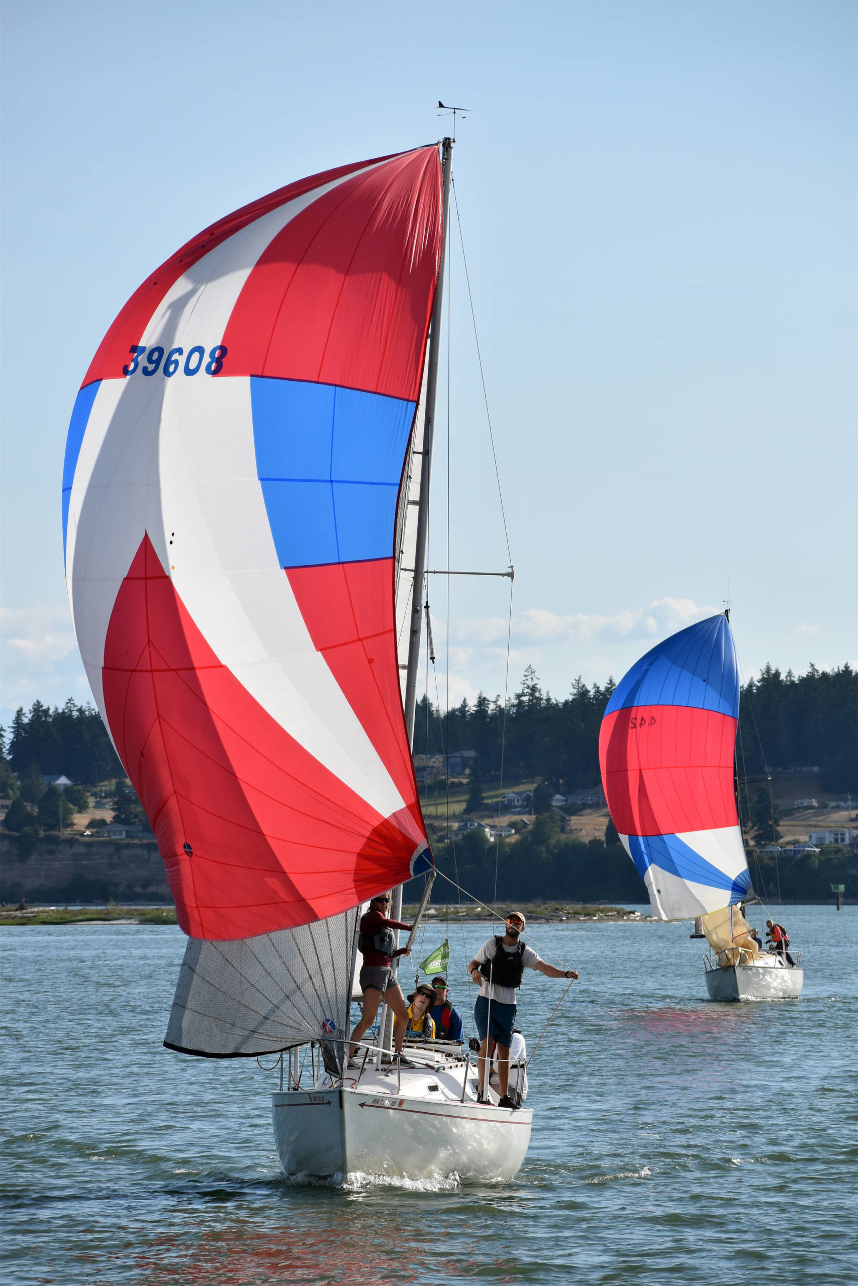Summer sailboat racing returns to cove | South Whidbey Record