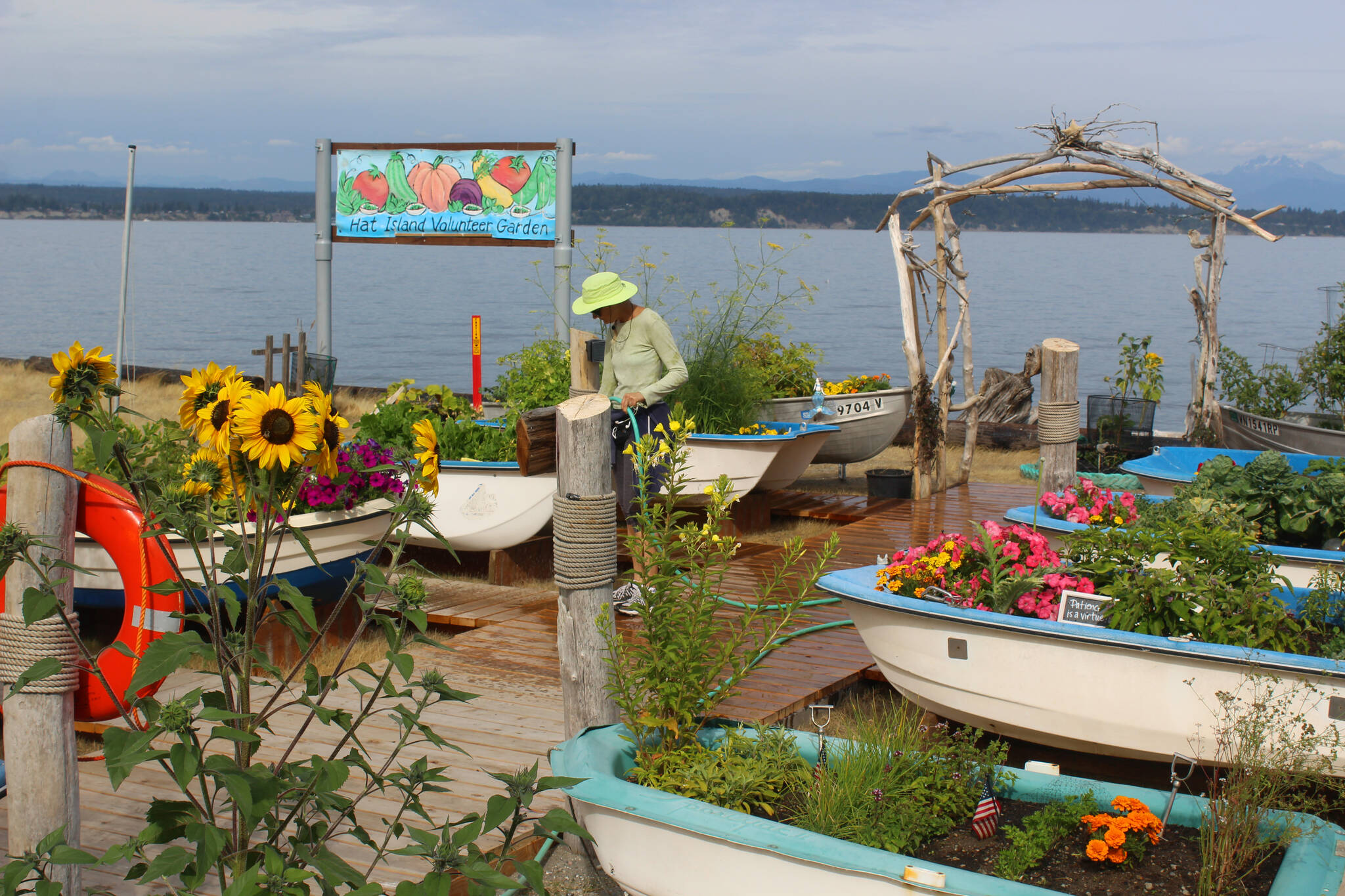 A ferry ‘Hat’ trick? | South Whidbey Record