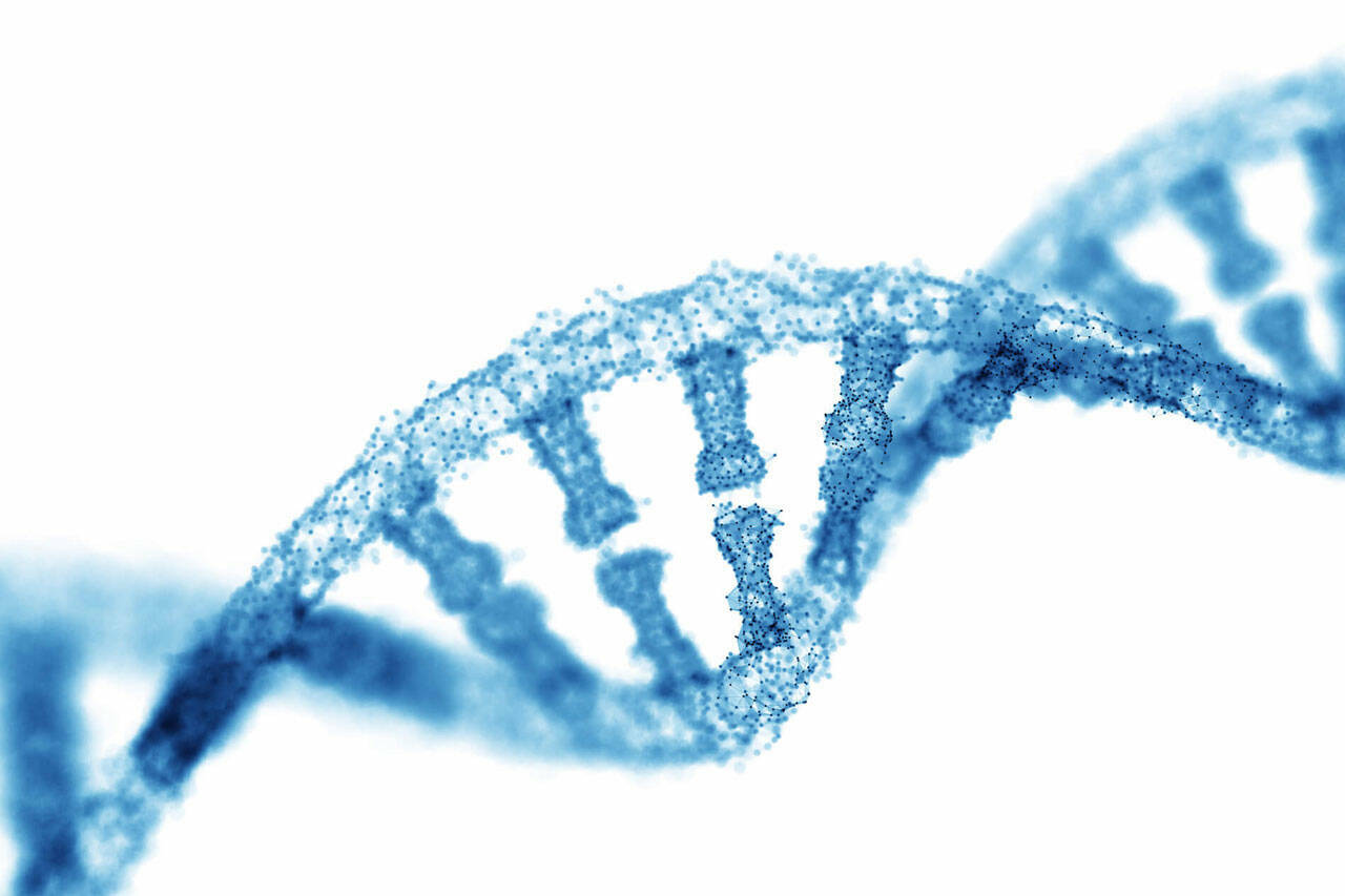 K3 Spark Mineral Review (SCAM Exposed!) Real Controversy & Fake Claims ...