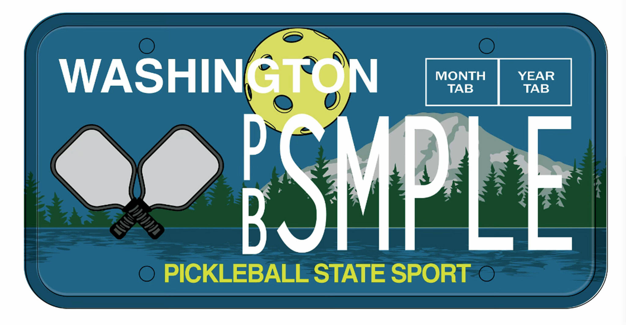 Pickleball is the state sport; it may soon have a license plate | South ...
