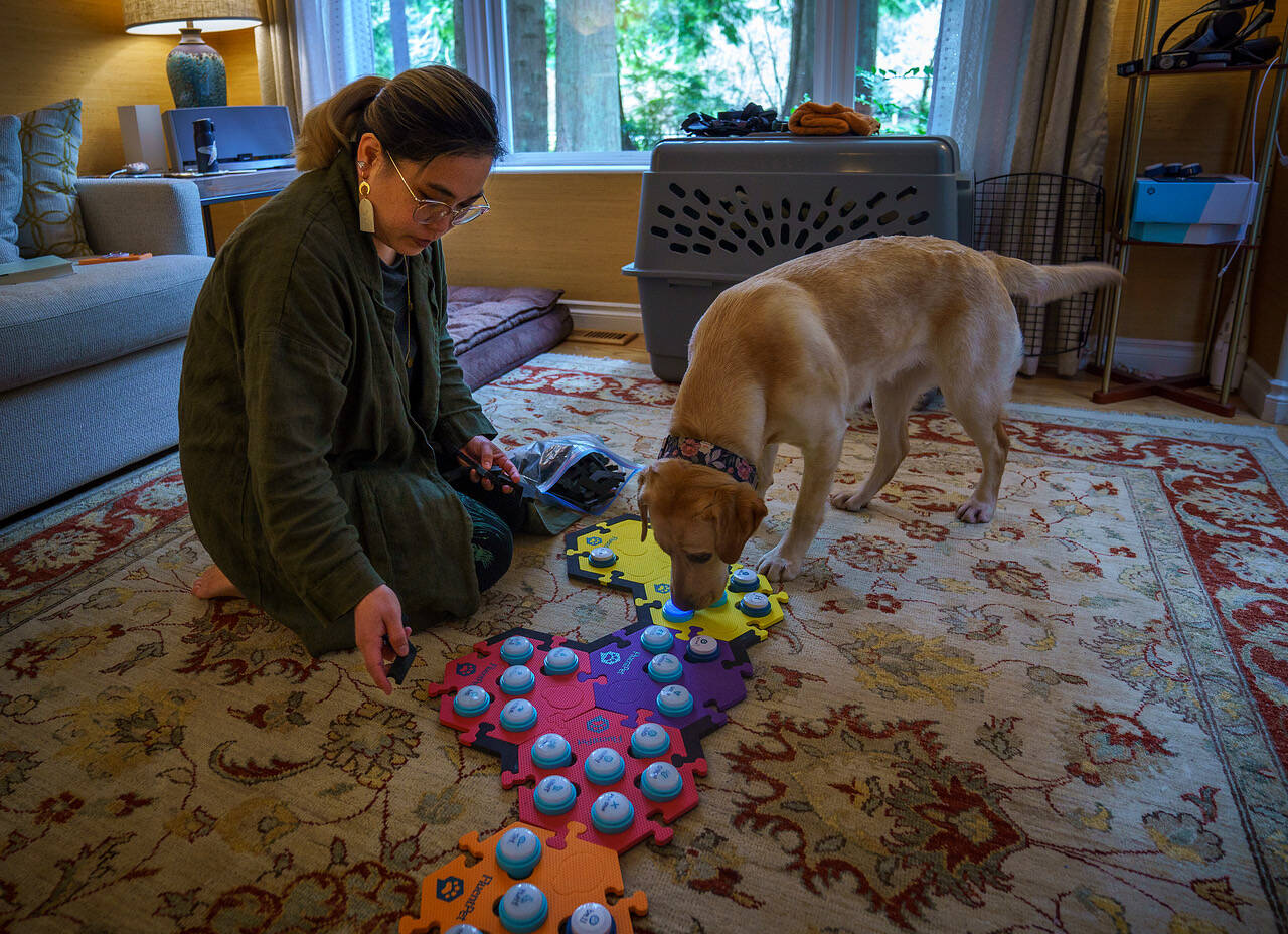 Lab with gift of gab | South Whidbey Record