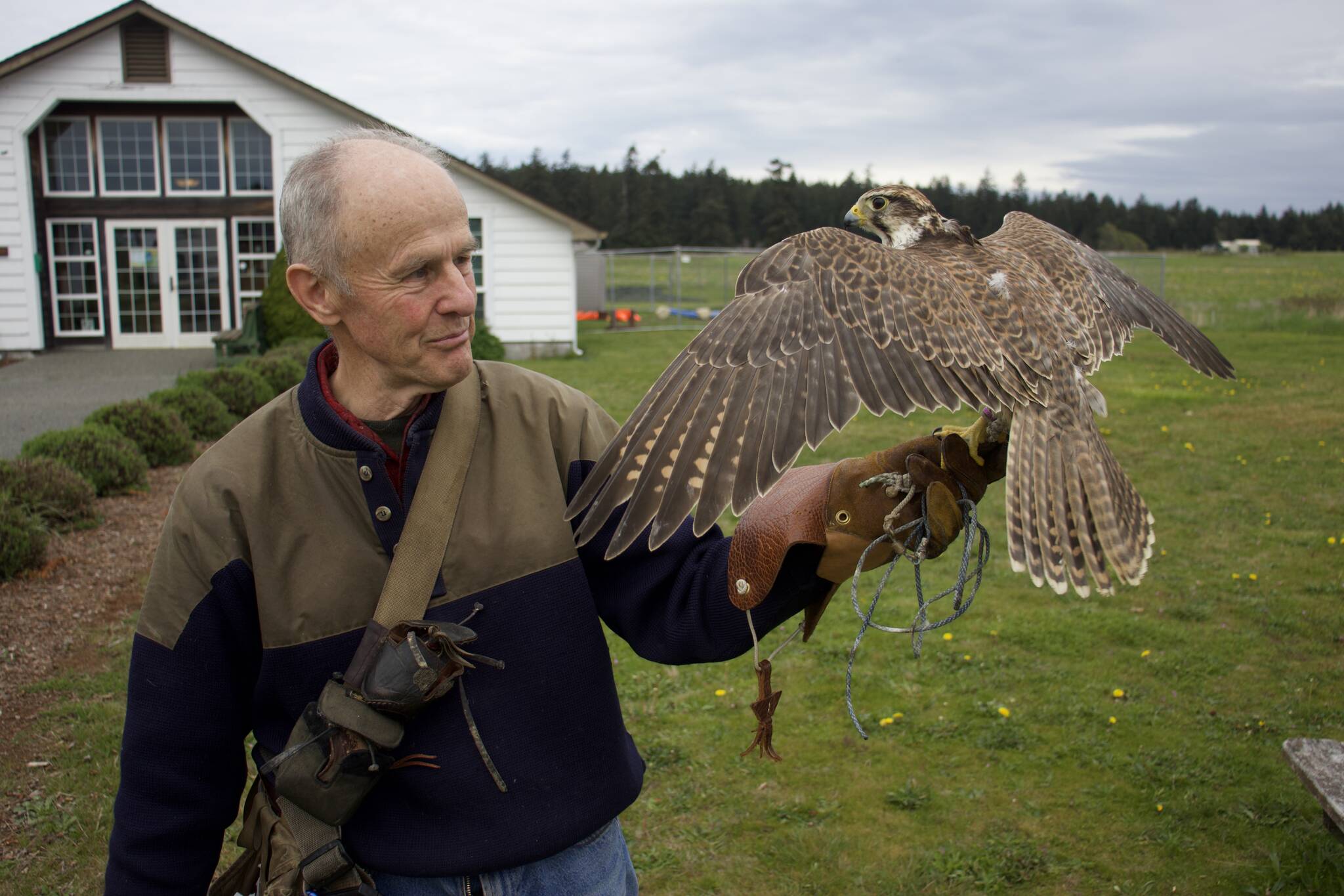 Swoop into institute for raptor event | South Whidbey Record