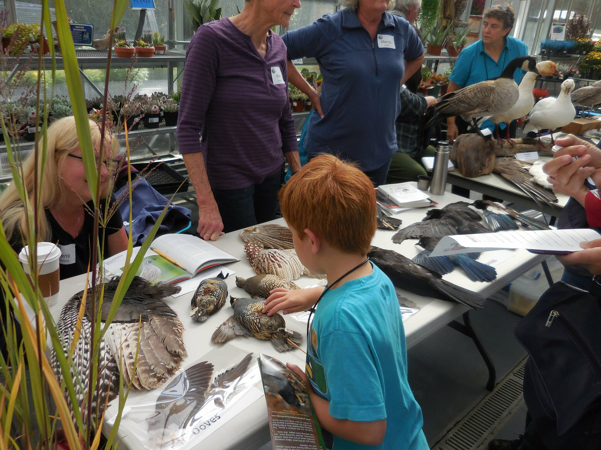 First bird festival wings to Whidbey | South Whidbey Record