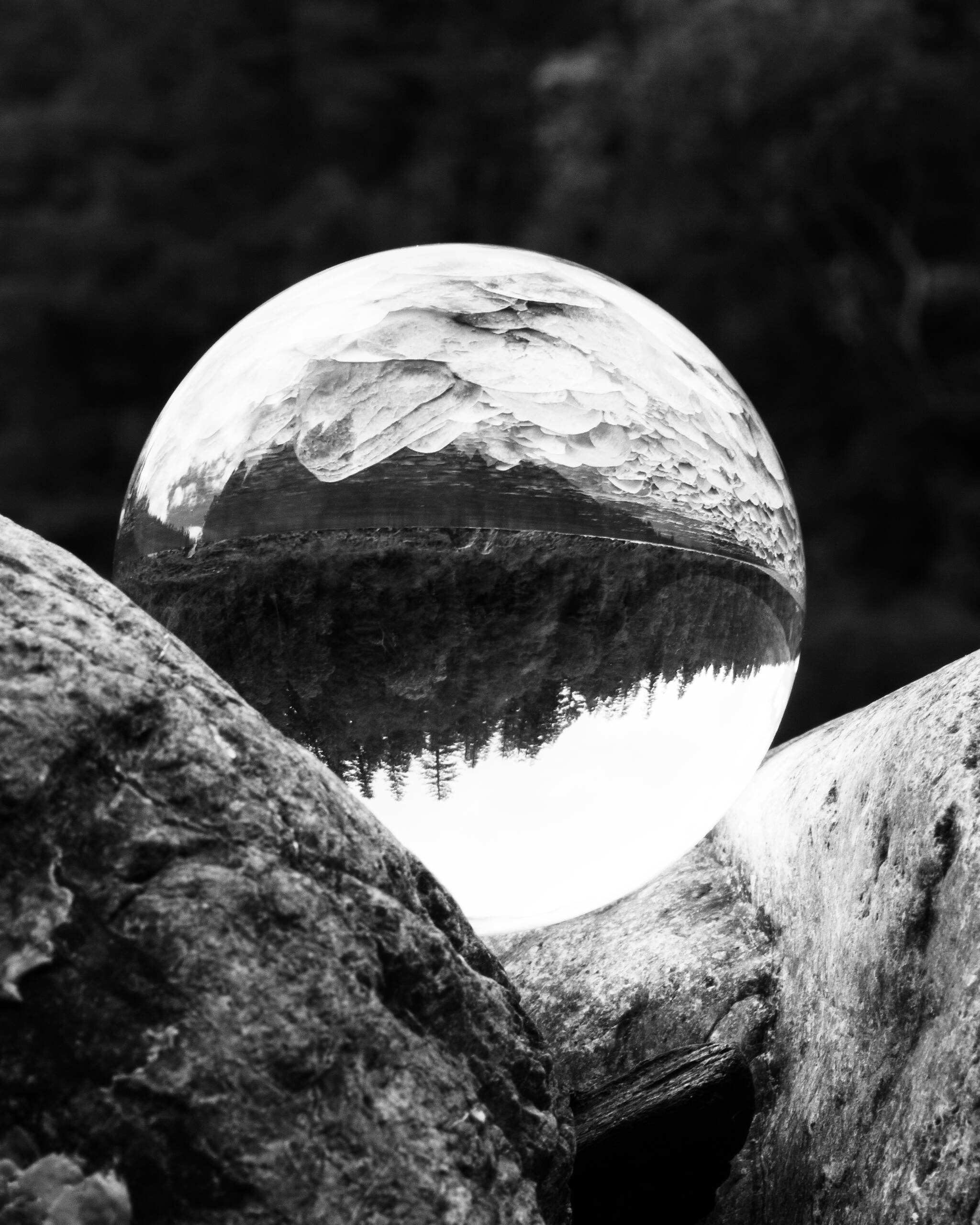 Student photography on display at library | South Whidbey Record