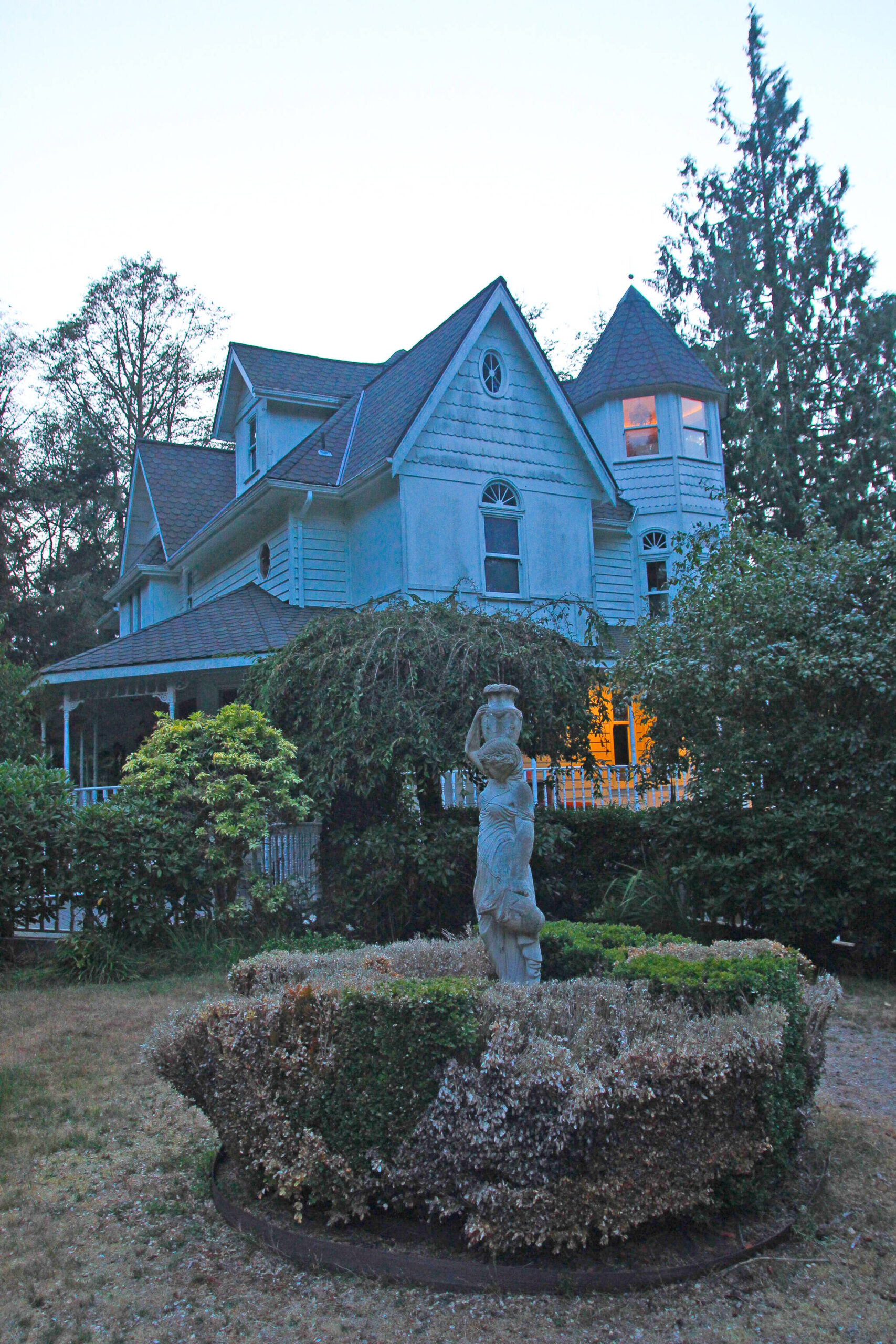 Family of three finds 1,000 bats in their new home | South Whidbey Record