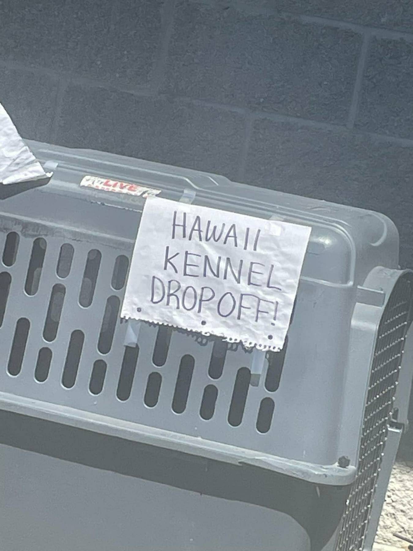 Whidbey community collects kennels for Maui | South Whidbey Record