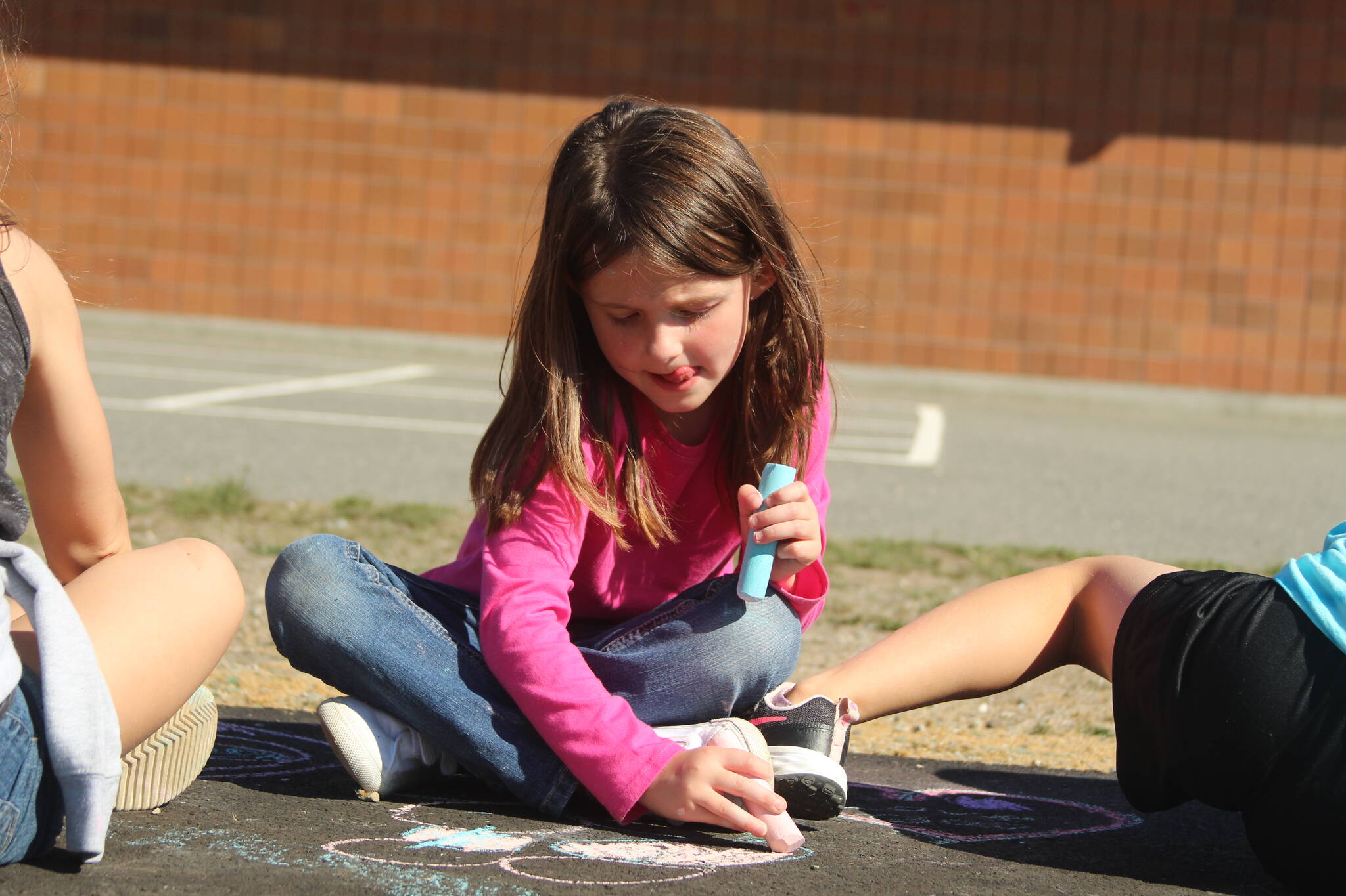 Chalked up to 10-year effort | South Whidbey Record