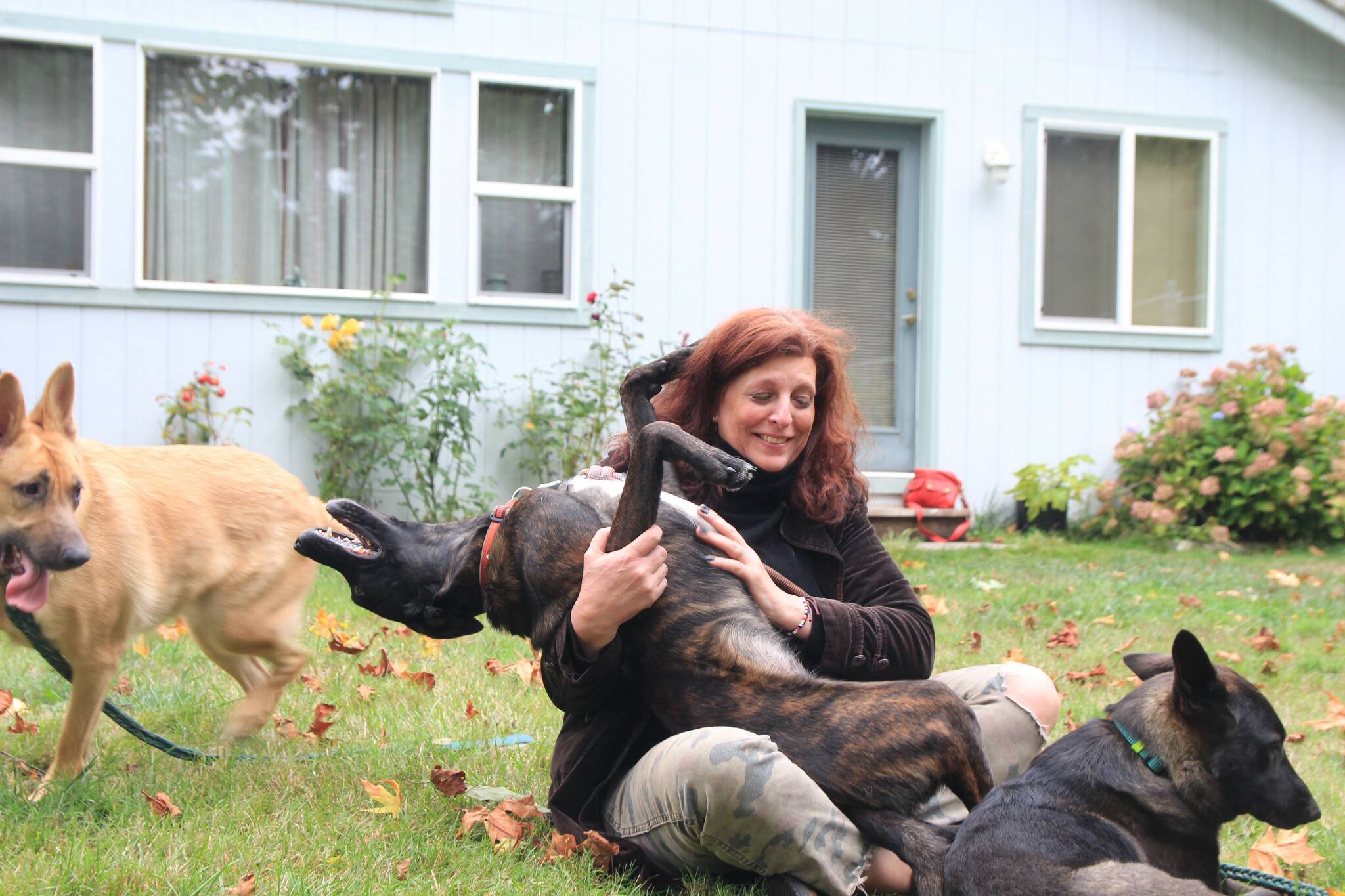 In the dog house | South Whidbey Record