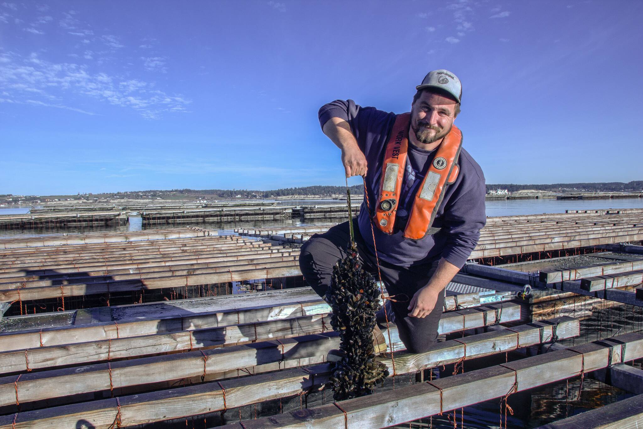 Penn Cove Shellfish offers a different kind of harvest | South Whidbey ...