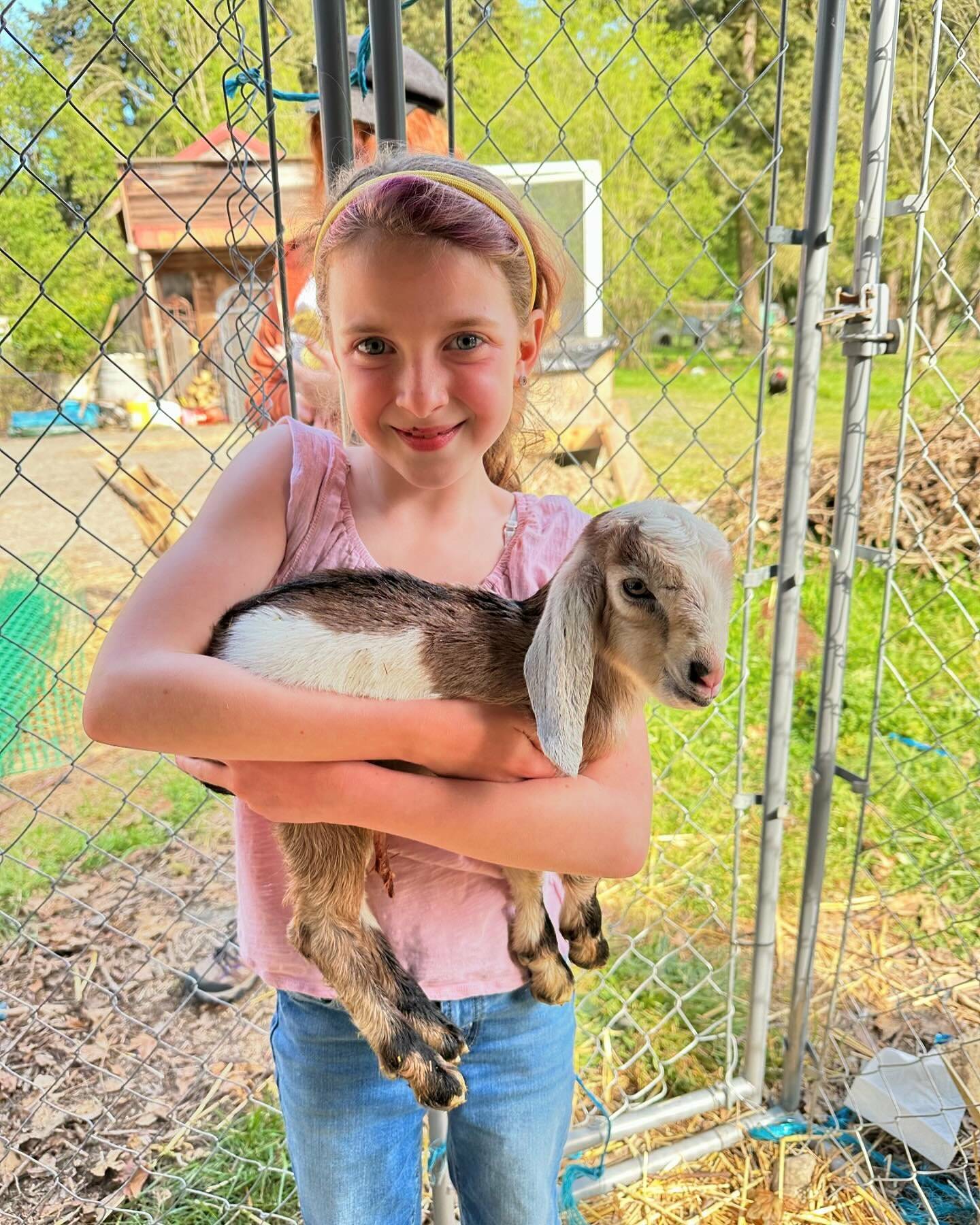 No shortage of cuteness at Barnyard Olympics | South Whidbey Record