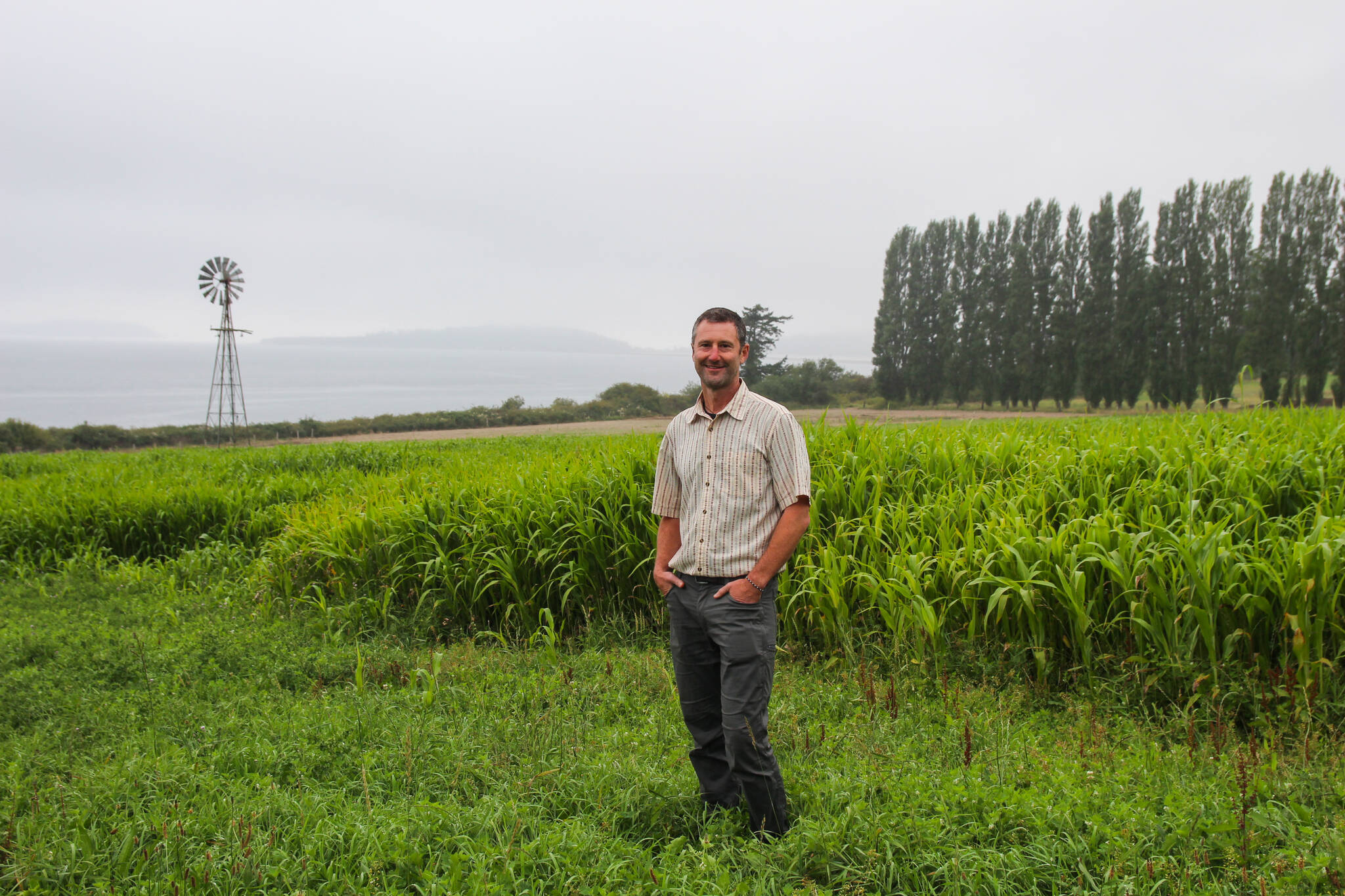 Farm may get special designation | South Whidbey Record