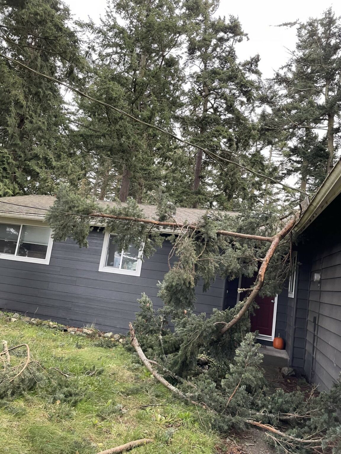 Windstorm causes widespread outages | South Whidbey Record
