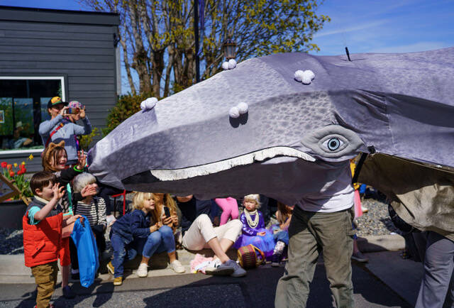 Welcome the Whales resurfaces for 22nd year | South Whidbey Record