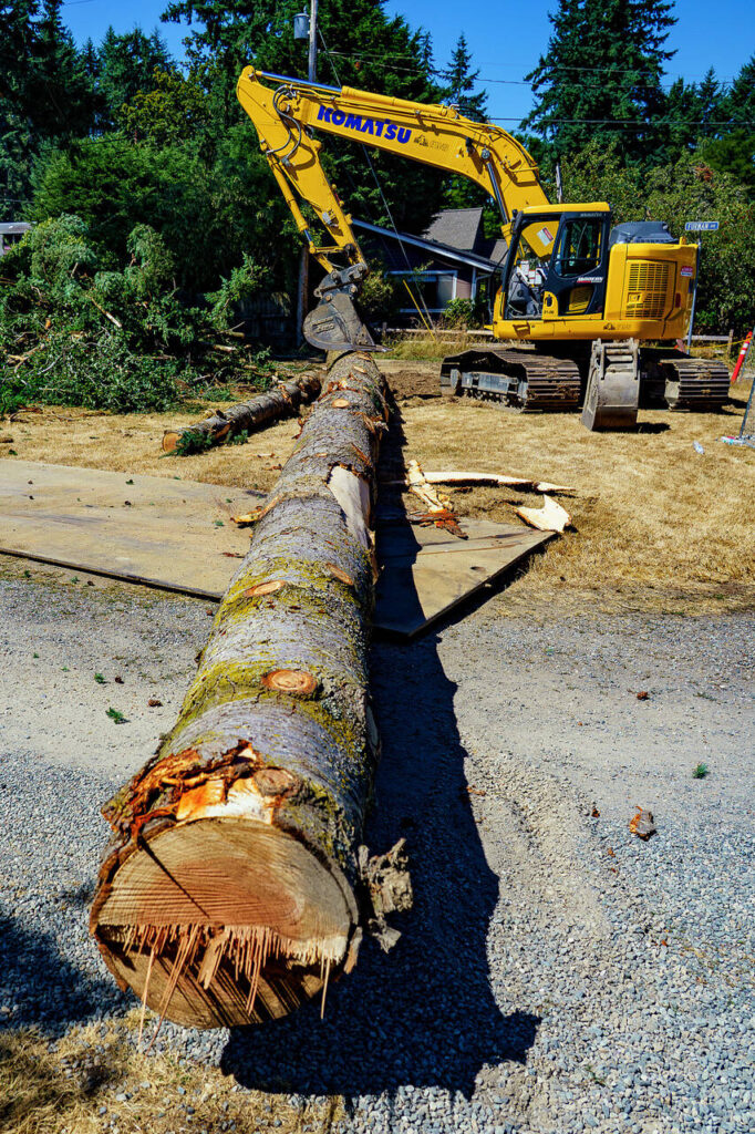 WEAN, Langley citizen appeal removal of ‘Edgecliff 6’ | South Whidbey ...