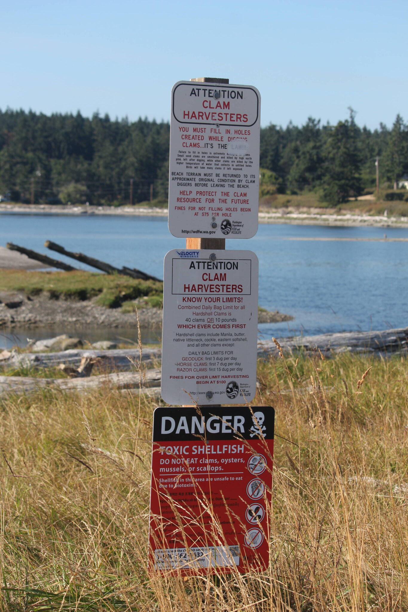 Penn Cove, Holmes Harbor closed to shellfish harvesting | South Whidbey ...