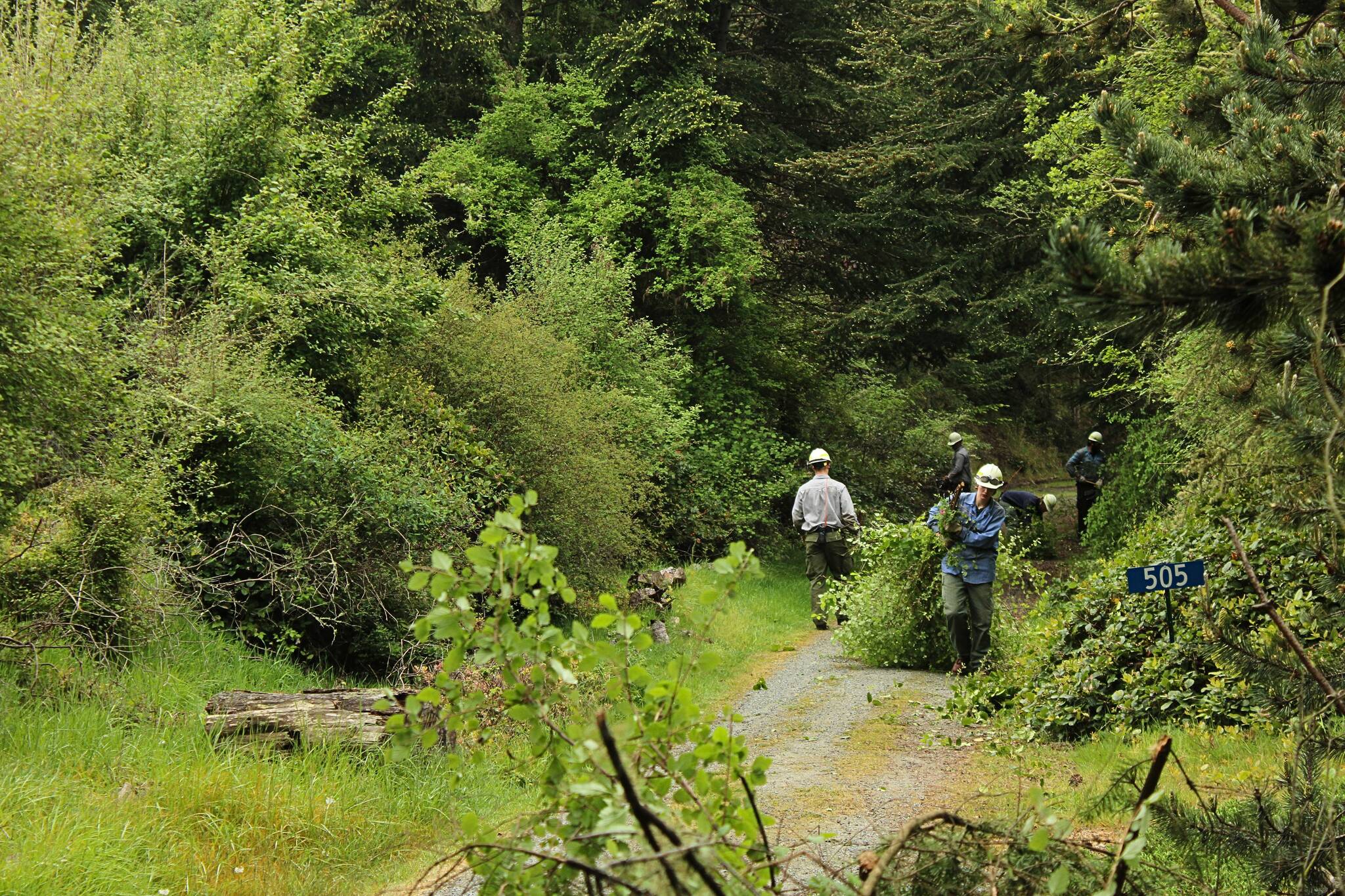 Firewise workdays help Whidbey neighborhoods reduce wildfire risk ...